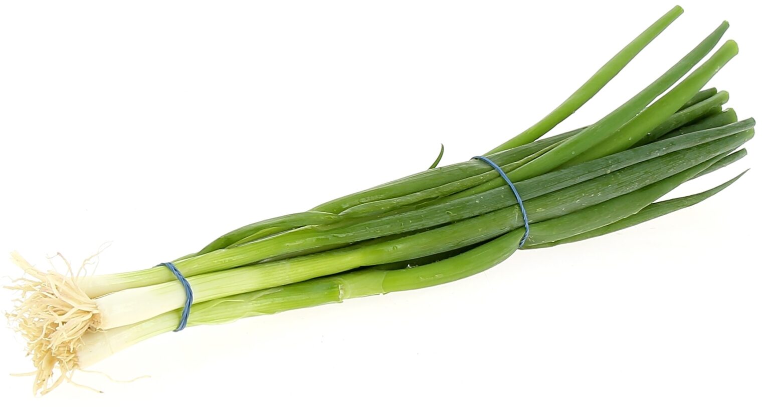 Oignon Fane Cébette O.S.A - ± 150 g - Foodlux